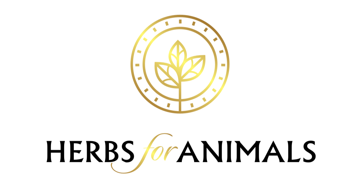 Dog Servings & Use – Herbs for Animals